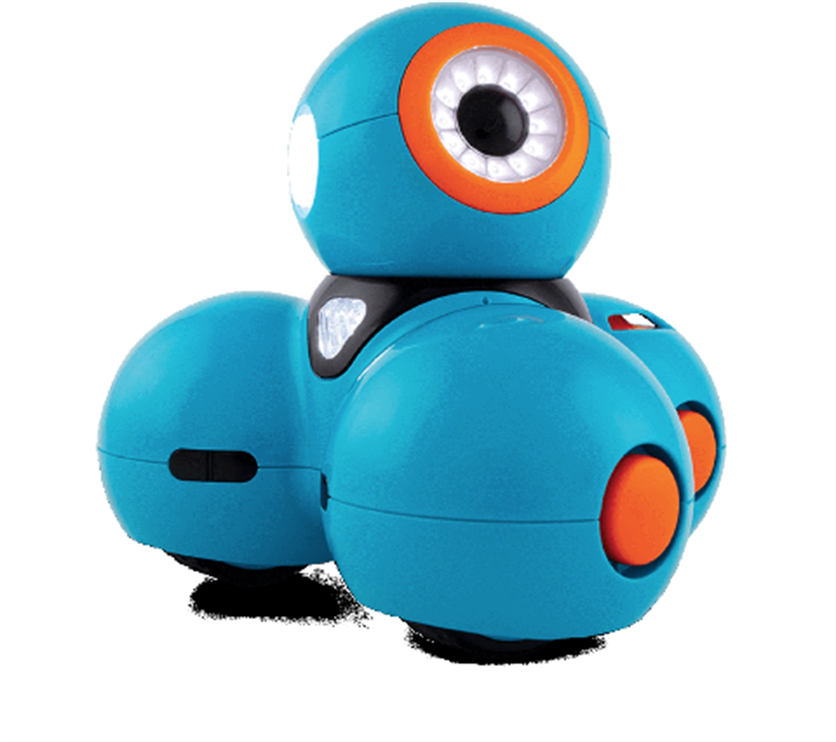 Dash Bot Discovery @ Lane Cove | Lane Cove Council